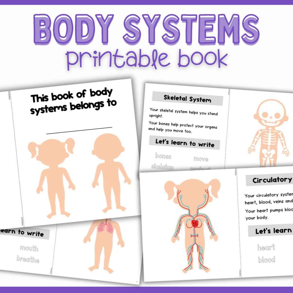 Kids Books About Human Body - A Toddler With a Pencil