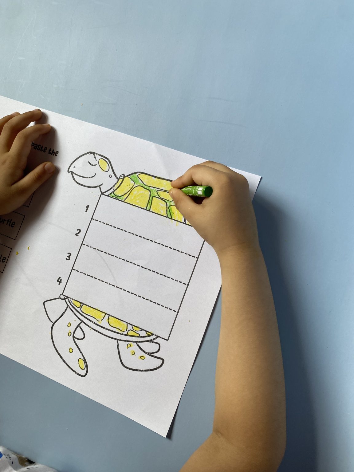 Sea Turtle Life Cycle Activity - A Toddler With a Pencil