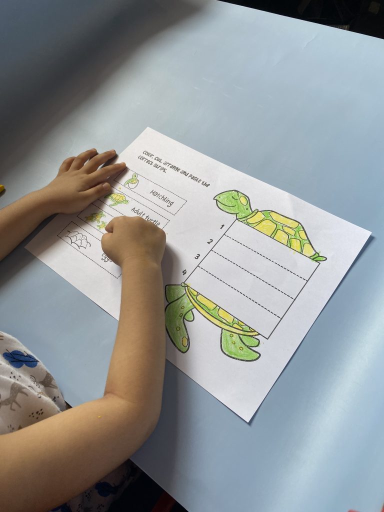 Sea Turtle Life Cycle Activity - A Toddler With a Pencil