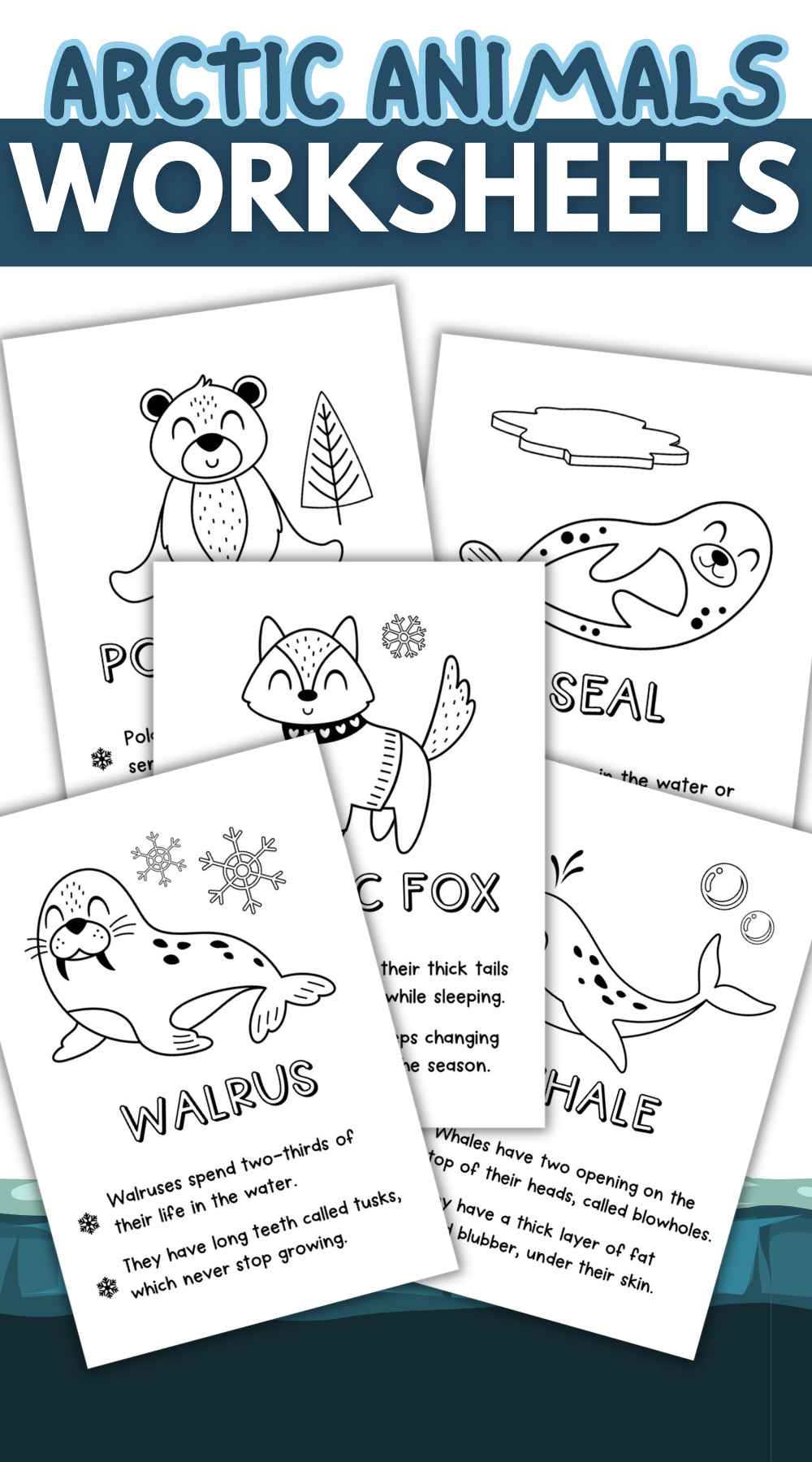 Arctic Animals Color and Learn - A Toddler With a Pencil