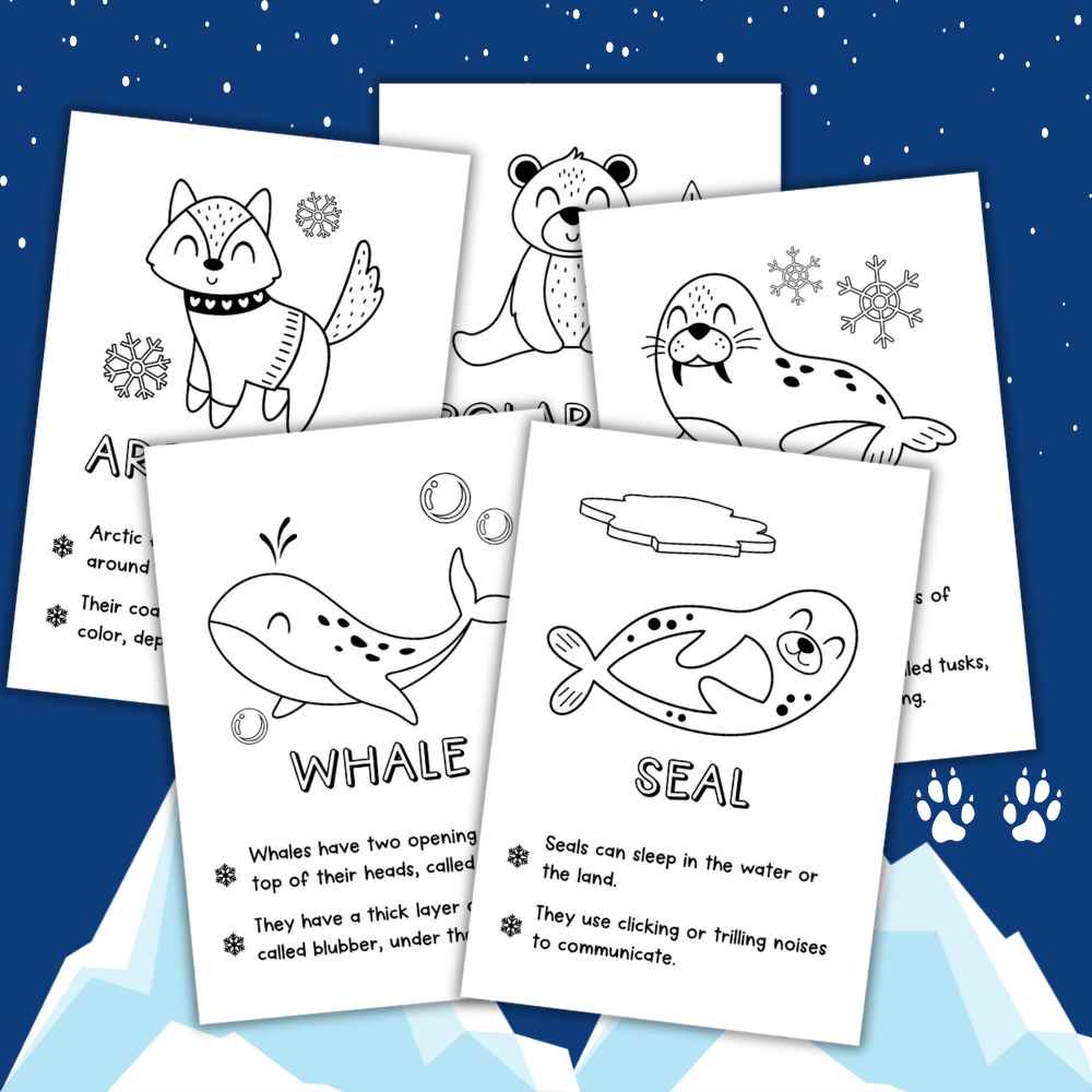 Arctic Animals Color and Learn - A Toddler With a Pencil