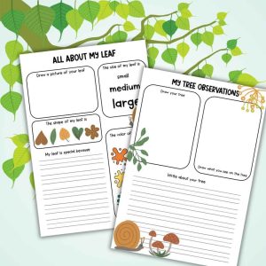 Tree and Leaf Observation Worksheets - A Toddler With a Pencil