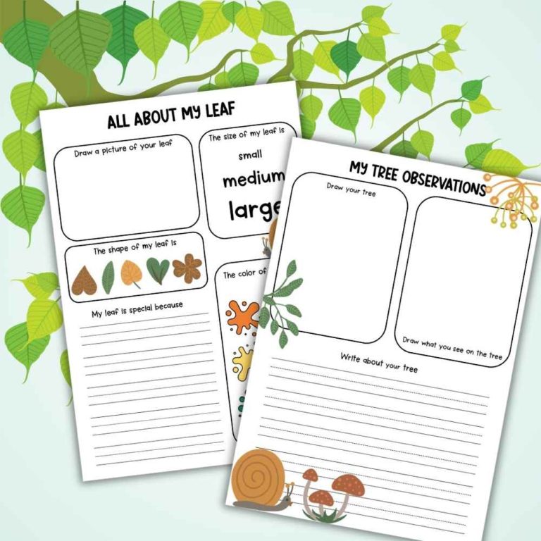 Tree and Leaf Observation Worksheets - A Toddler With a Pencil