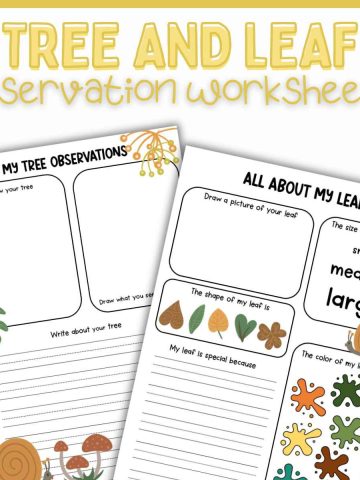 Tree and Leaf Observation Worksheets - A Toddler With a Pencil